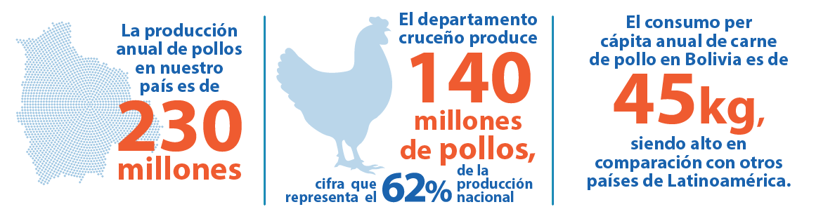 Producción de Pollo